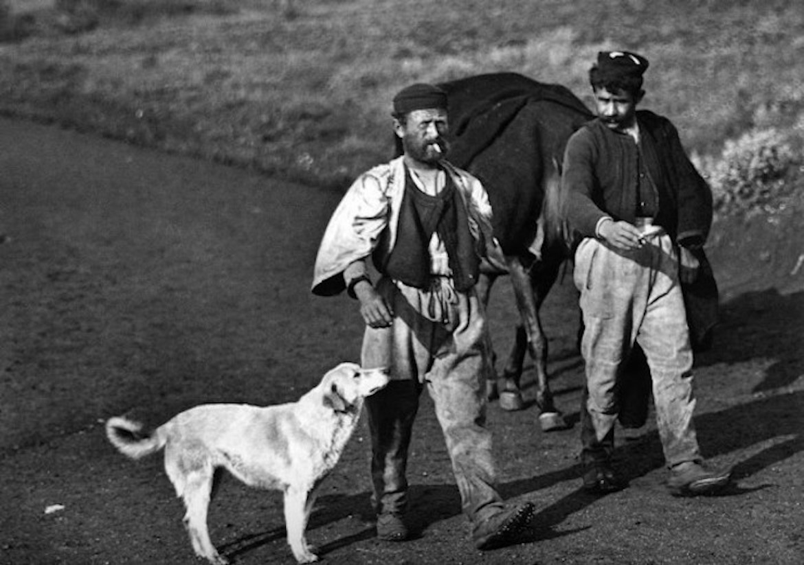 59 Stunning Photos of Early 1900s Greece - The Pappas Post