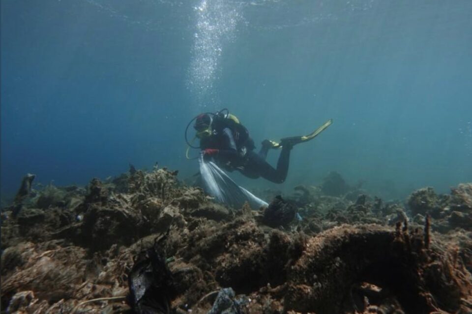 (Video) Divers Find "Gulf of Plastic Corals" in Aegean Sea - The Pappas ...