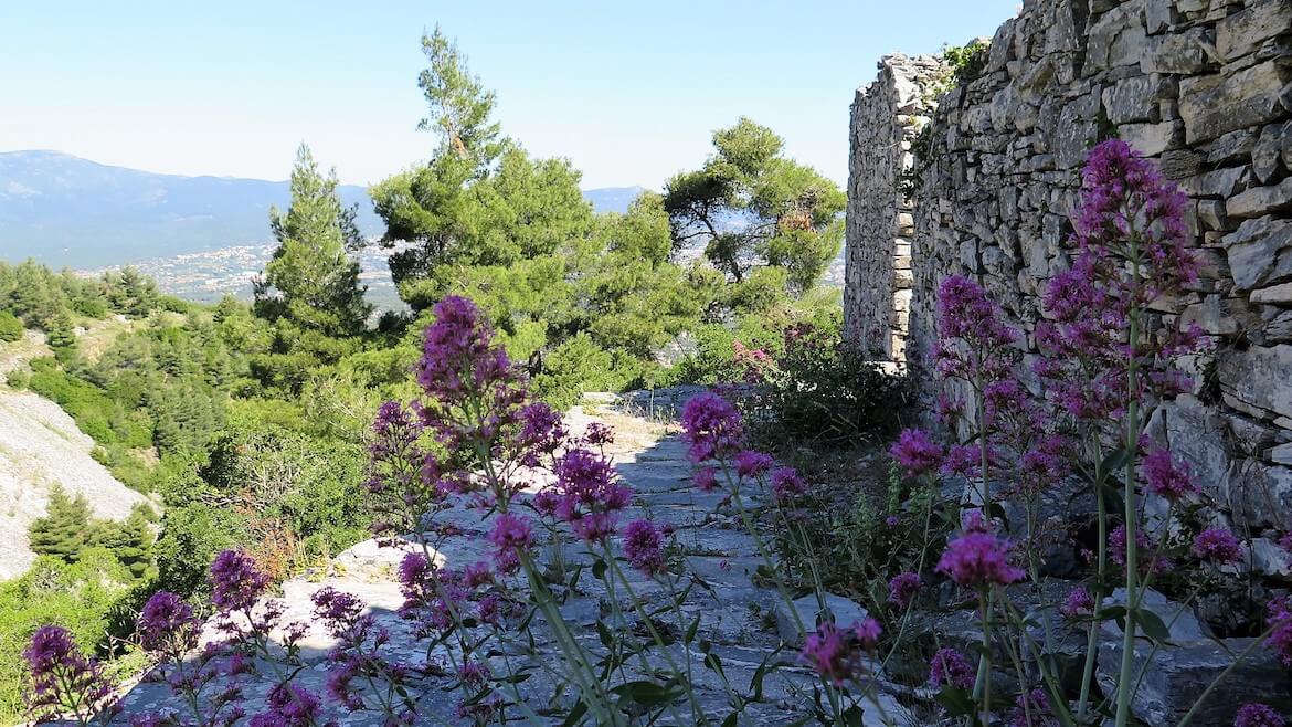 Local Expert Shares Favorite Hiking Spots in Athens - The Pappas Post